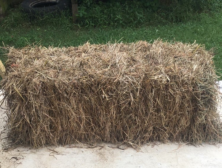 Square Straw Bale